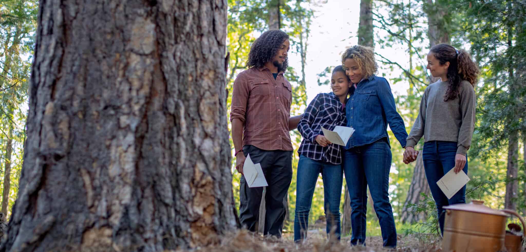 Berkshires Memorial Forest | Better Place Forests