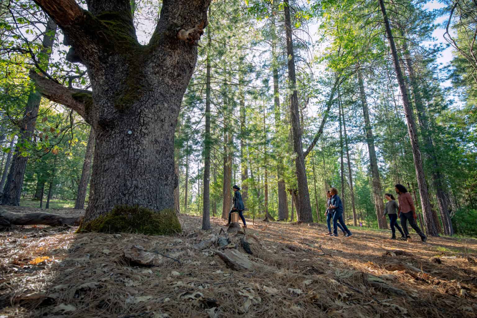 Your Upcoming Yosemite Gateway Memorial