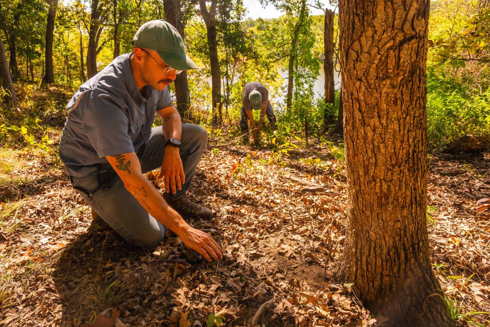 Rock River Forest Memorial Preview - Better Place Forests