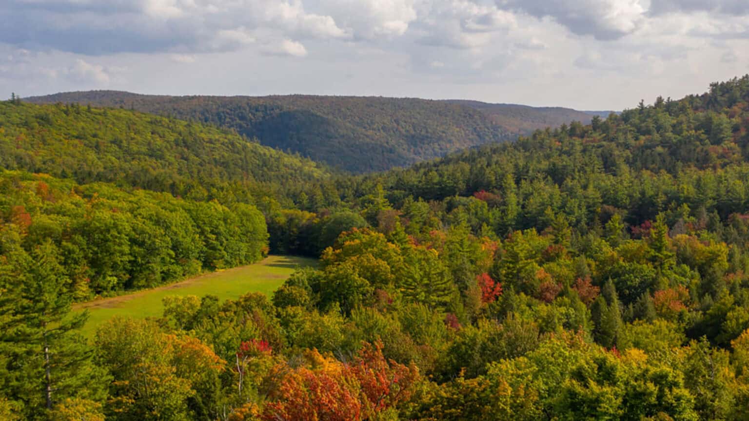 Berkshires Memorial Forest | Better Place Forests