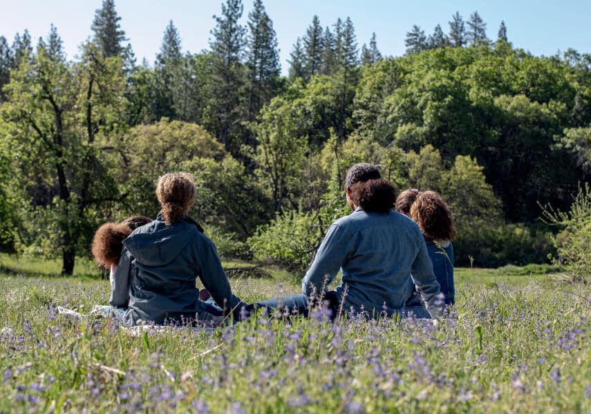 Protecting our Forests | Better Place Forests