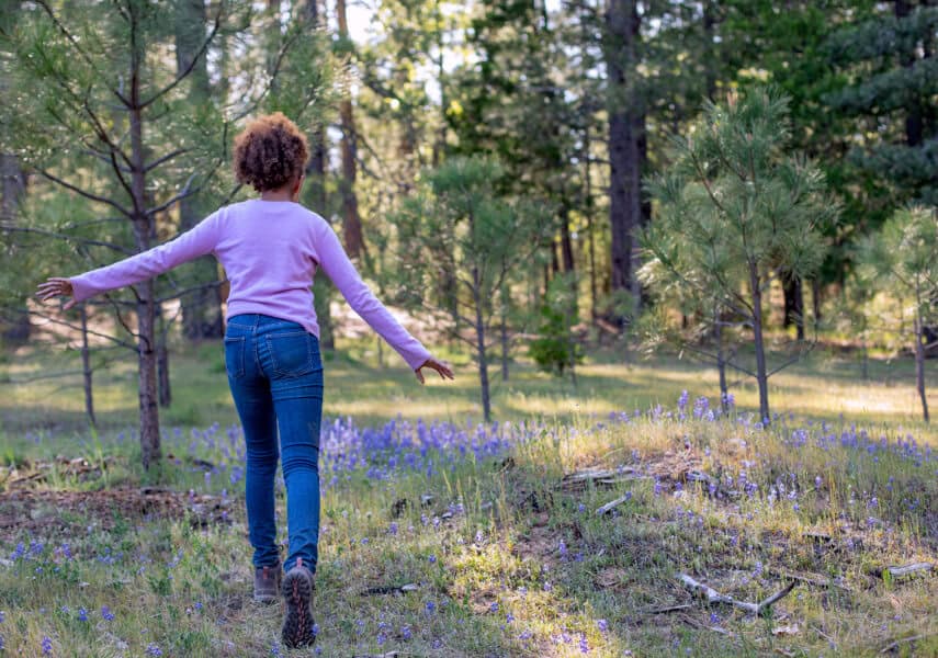 Protecting our Forests | Better Place Forests
