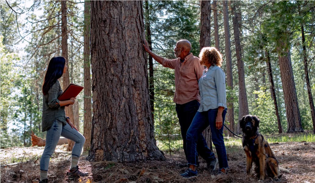 Memorial Tree Pricing | Better Place Forests