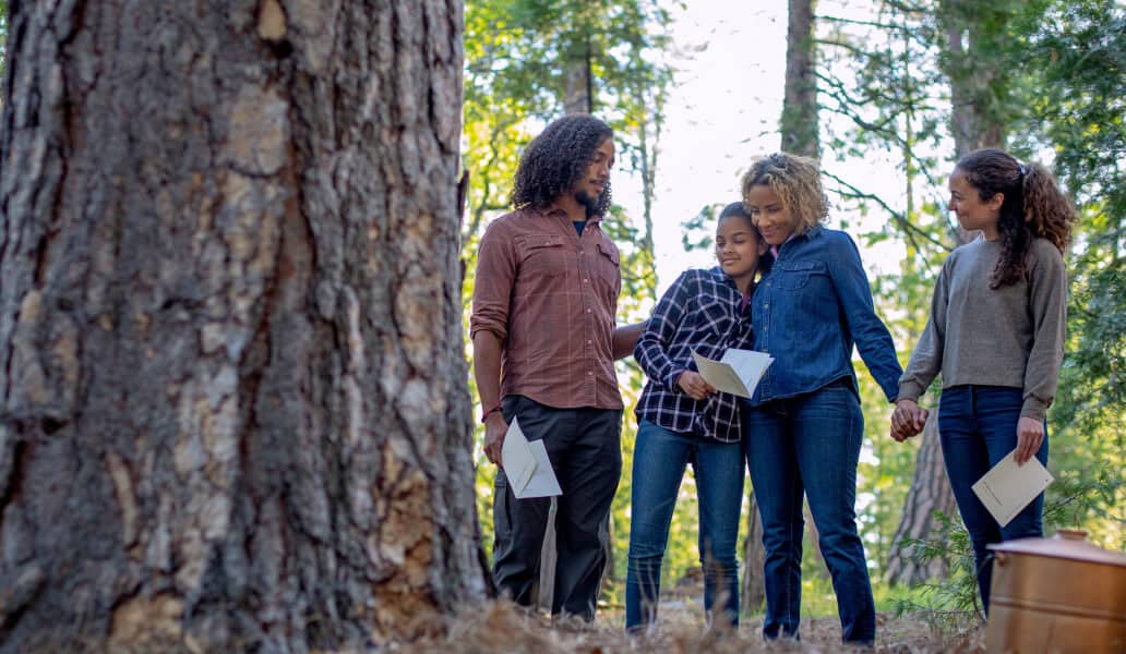 Better Place Forests | Memorial Trees for Cremation Ashes