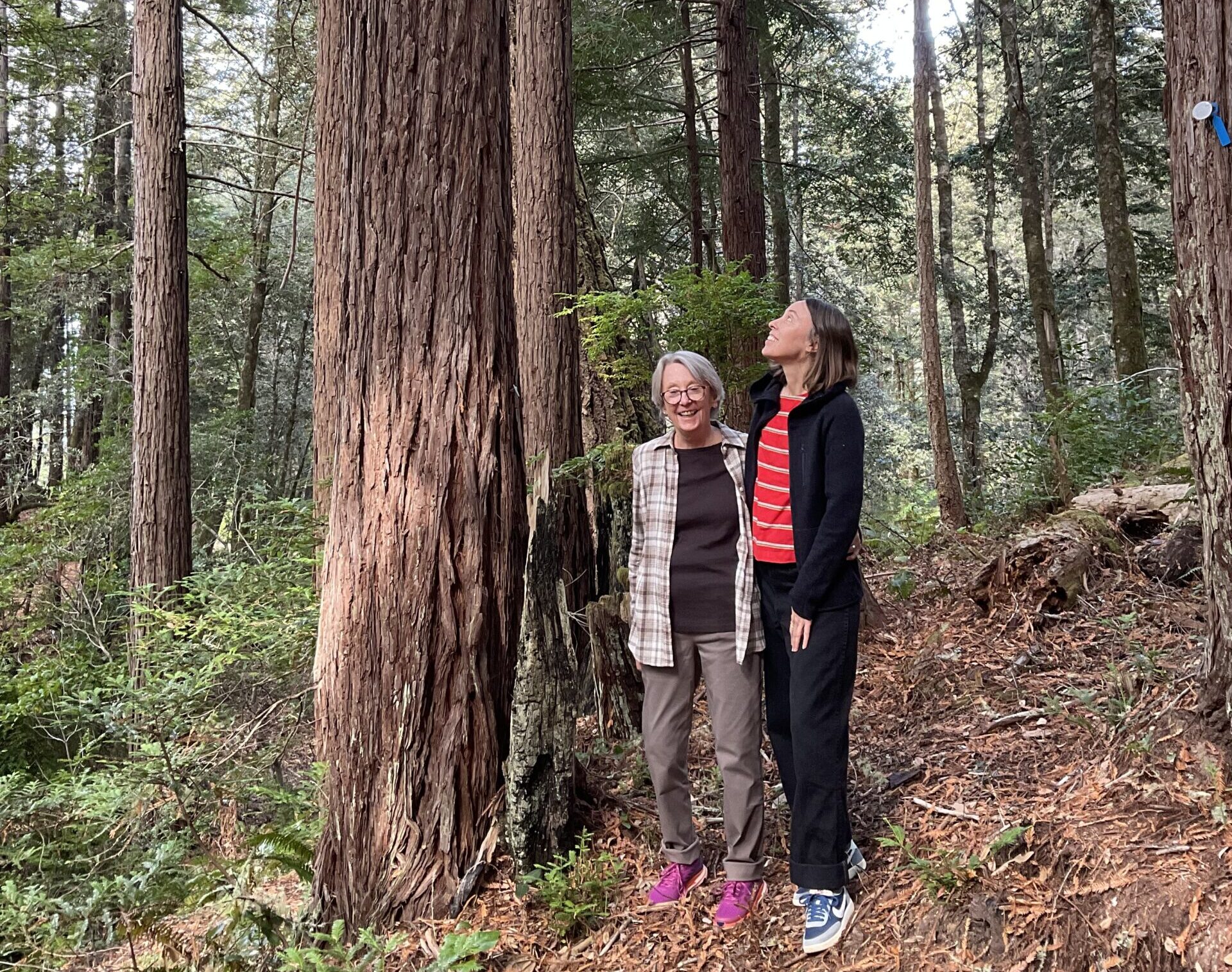 The Perfect Place | Better Place Forests